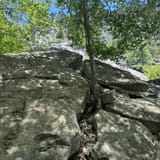 Bonticou Crag Trail, New York - 2,277 Reviews, Map | AllTrails