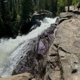 Alberta Falls Trail, Colorado - 3,592 Reviews, Map | AllTrails