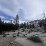 Mono Meadow Trail, California - 90 Reviews, Map | AllTrails