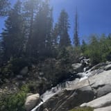 Mono Meadow Trail, California - 90 Reviews, Map | AllTrails
