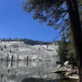 Mono Meadow Trail, California - 90 Reviews, Map | AllTrails