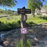 Beaver Ponds Loop Trail, Montana - 1,227 Reviews, Map | AllTrails