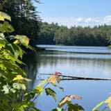 Goose Pond Loop, New Hampshire - 771 Reviews, Map | AllTrails