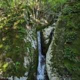 Lower Ausable Lake Loop, New York - 359 Reviews, Map | AllTrails