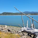 Salishan Spit Trail, Oregon - 307 Reviews, Map | AllTrails
