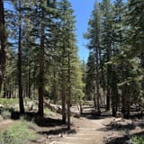 Inyo Craters Trail, California - 673 Reviews, Map | AllTrails