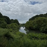 Mahoning Shadow Trail, Pennsylvania - 252 Reviews, Map | AllTrails