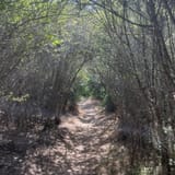 Grasslands Loop Trail, California - 1,717 Reviews, Map | AllTrails