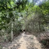 Green Ridge Trail, Texas - 1,055 Reviews, Map | AllTrails