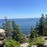 Ocean Path Trail, Maine - 3,554 Reviews, Map | AllTrails