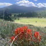 Walker Ranch Loop, Colorado - 4,858 Reviews, Map | AllTrails