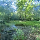Fort Barton/Sin and Flesh Brook Trail, Rhode Island - 1,377 Reviews ...