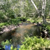 Fort Barton/Sin and Flesh Brook Trail, Rhode Island - 1,377 Reviews ...