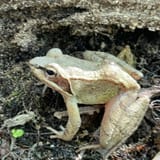 Fort Barton/Sin and Flesh Brook Trail, Rhode Island - 1,377 Reviews ...