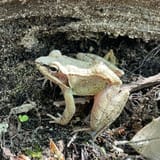 Fort Barton/Sin and Flesh Brook Trail, Rhode Island - 1,377 Reviews ...