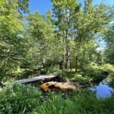 Fort Barton/Sin and Flesh Brook Trail, Rhode Island - 1,377 Reviews ...