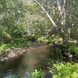 Fort Barton/Sin and Flesh Brook Trail, Rhode Island - 1,377 Reviews ...