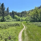 Hell Canyon Trail , South Dakota - 641 Reviews, Map | AllTrails