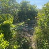 Bluff Point State Park and Coastal Reserve Loop, Connecticut - 3,989 ...