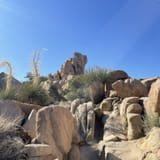 Hidden Valley, California - 6,000 Reviews, Map | AllTrails
