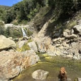 Cold Spring Loop, California - 2,324 Reviews, Map | AllTrails