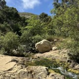 Cold Spring Loop, California - 2,324 Reviews, Map | AllTrails