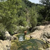 Cold Spring Loop, California - 2,324 Reviews, Map | AllTrails