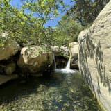 Cold Spring Loop, California - 2,312 Reviews, Map | AllTrails