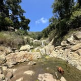 Cold Spring Loop, California - 2,324 Reviews, Map | AllTrails