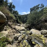 Cold Spring Loop, California - 2,324 Reviews, Map | AllTrails