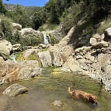 Cold Spring Loop, California - 2,324 Reviews, Map | AllTrails