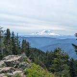Mount Washington Trail, Washington - 2,966 Reviews, Map | AllTrails