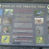 Tweetsie Trail, Tennessee - 704 Reviews, Map | AllTrails