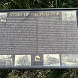 Tweetsie Trail, Tennessee - 704 Reviews, Map | AllTrails