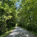 Tweetsie Trail, Tennessee - 704 Reviews, Map | AllTrails