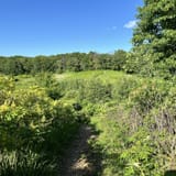 Gander Mountain Loop Trail, Illinois - 514 Reviews, Map | AllTrails