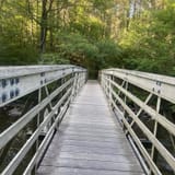 Bee Brook Loop, Connecticut - 1,050 Reviews, Map | AllTrails