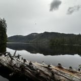 Perseverance Lake Trail, Alaska - 249 Reviews, Map | AllTrails