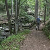 Stiles Falls, Virginia - 609 Reviews, Map | AllTrails