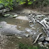Stiles Falls, Virginia - 609 Reviews, Map | AllTrails