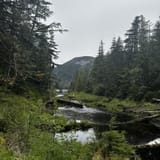 Perseverance Lake Trail, Alaska - 249 Reviews, Map | AllTrails