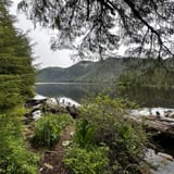 Perseverance Lake Trail, Alaska - 242 Reviews, Map | AllTrails