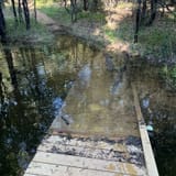 Lake Grapevine Horseshoe Trail, Texas - 2,191 Reviews, Map | AllTrails