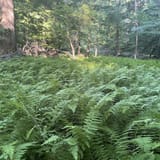 Core Creek Park Trail, Pennsylvania - 1,642 Reviews, Map | AllTrails