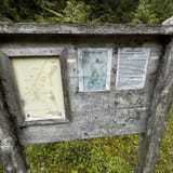 Perseverance Lake Trail, Alaska - 249 Reviews, Map | AllTrails