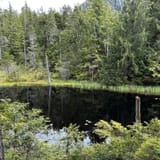 Perseverance Lake Trail, Alaska - 249 Reviews, Map | AllTrails