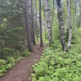 Devils Track River via Super Hiking Trail, Minnesota - 249 Reviews, Map ...