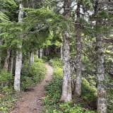 Mount Muller Trail, Washington - 190 Reviews, Map | AllTrails