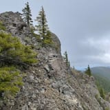 Mount Muller Trail, Washington - 190 Reviews, Map | AllTrails