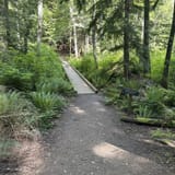 Fragrance Lake Trail, Washington - 3,008 Reviews, Map | AllTrails